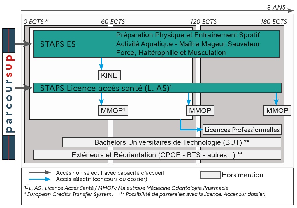Licence mention STAPS - Entraînement Sportif - Faculté des sciences du ...